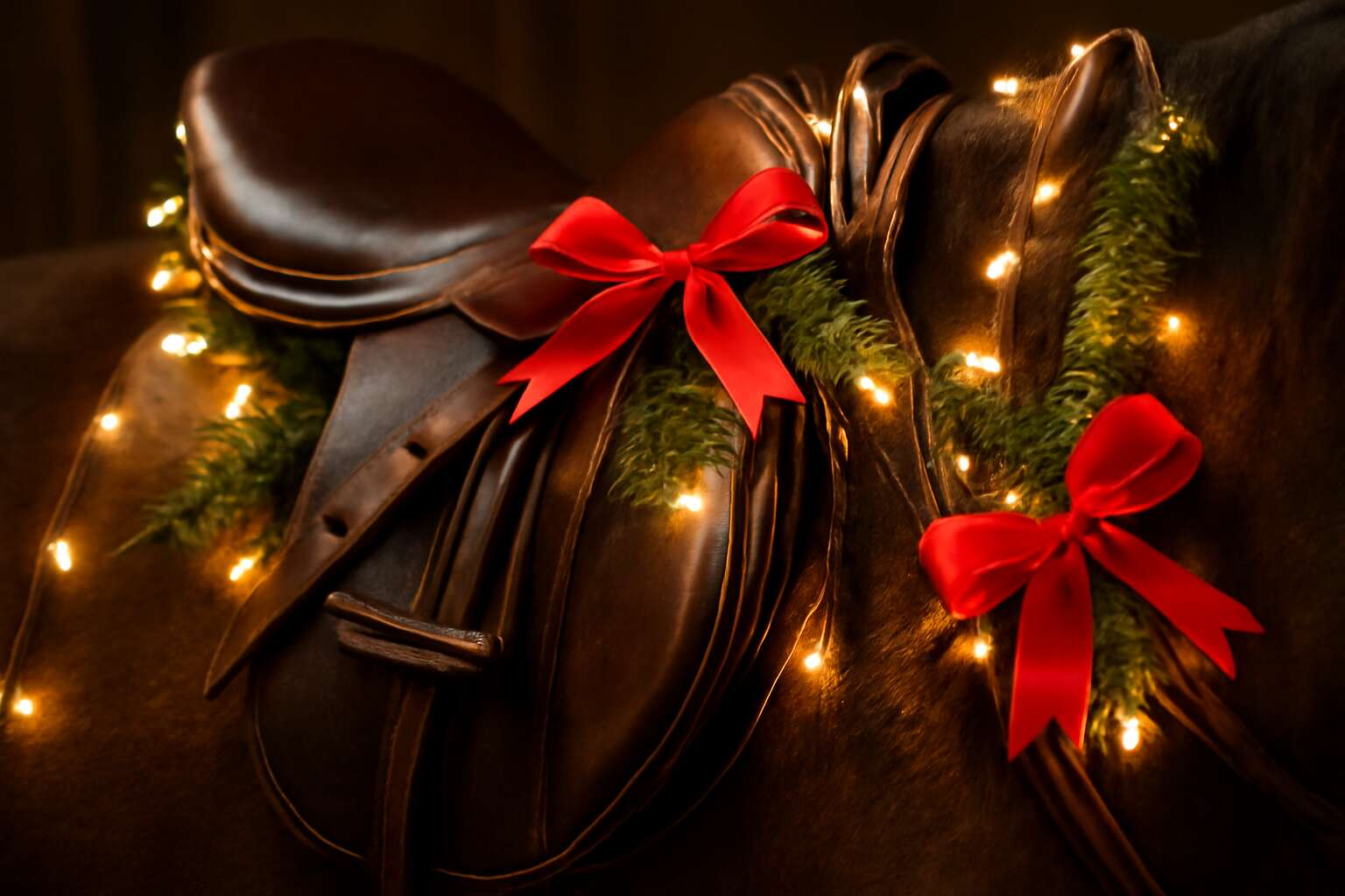 Gift Guide: horse tack for christmas ideas to delight every horse lover ...